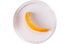 Process • Orange Fiber