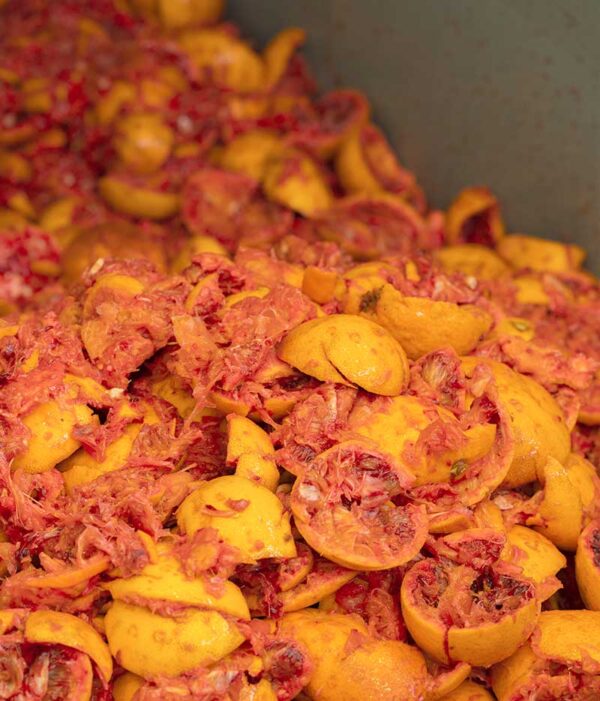 Process • Orange Fiber